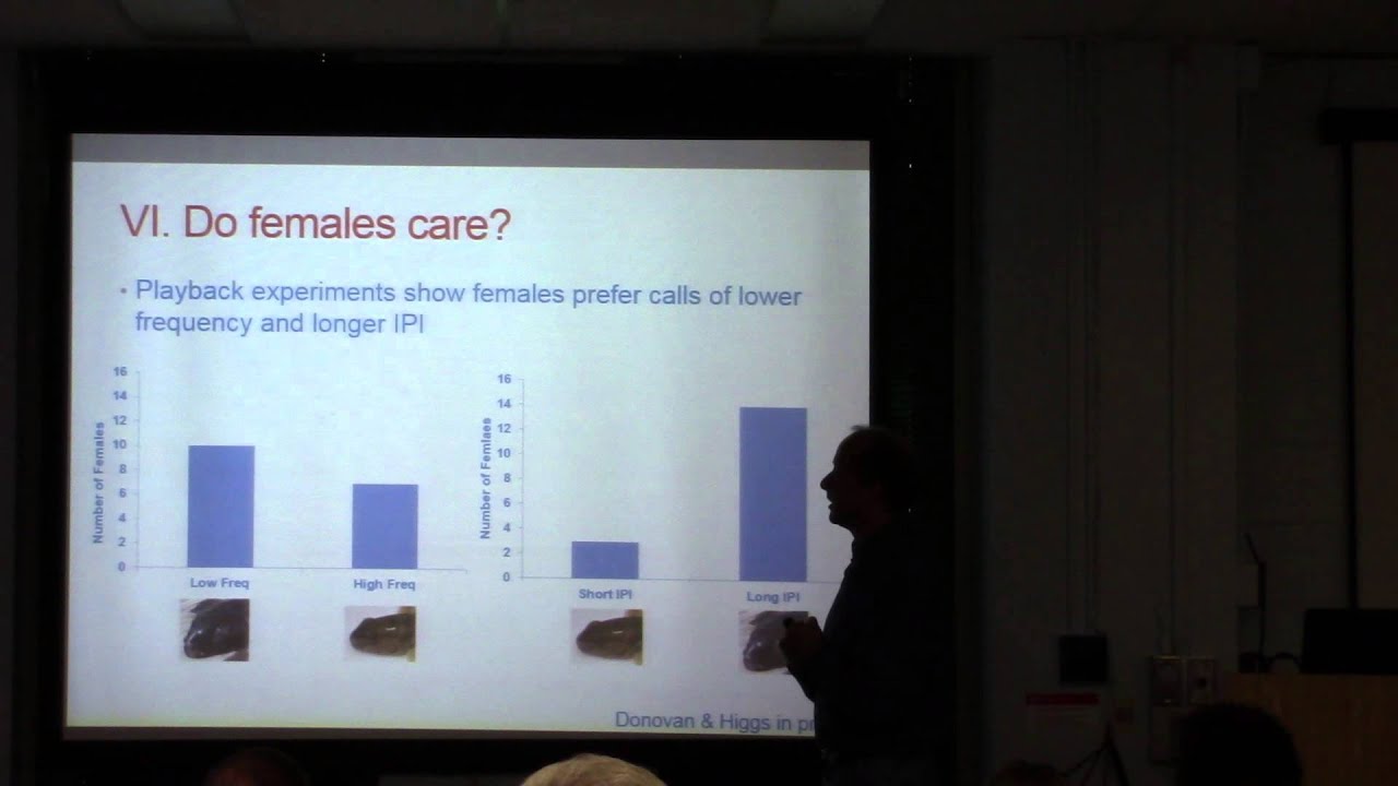 Organismal seminar Dr. Dennis Higgs - Part 2/2 - YouTube