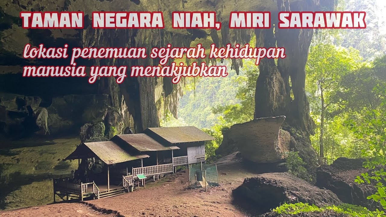 Lokasi penemuan sejarah yang menakjubkan | Exploring Niah National Park ...