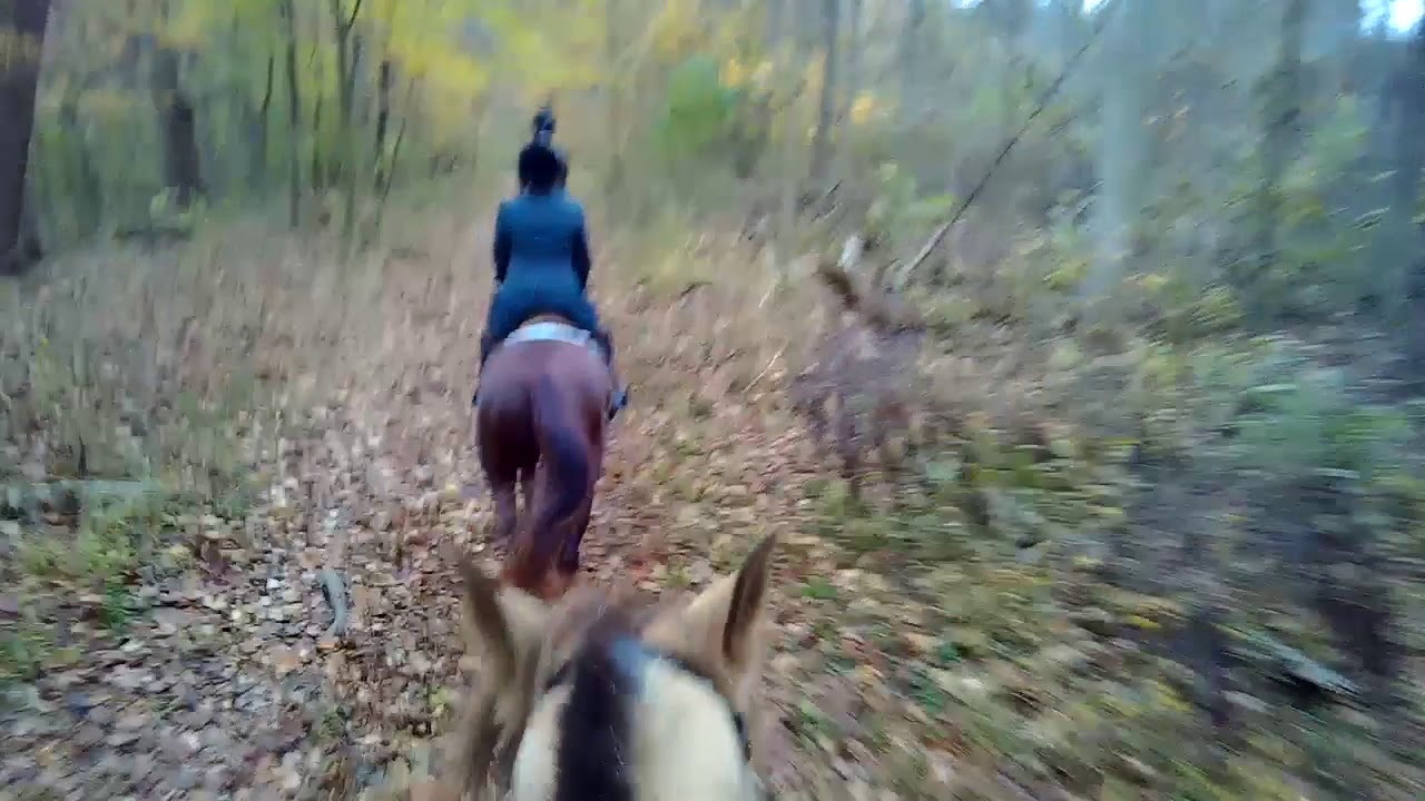 RFHH Gibson Custer, Wednesday 30 October 19 - YouTube