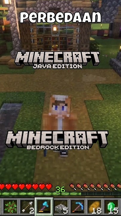 perbedaan Minecraft Java dan Bedrock #minecraft - YouTube