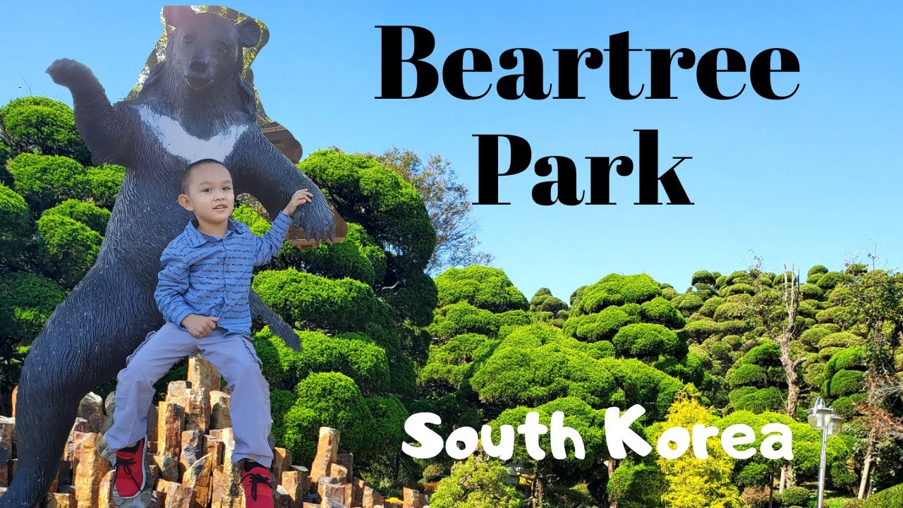 Beartree Park South Korea | Feeding Bear - YouTube
