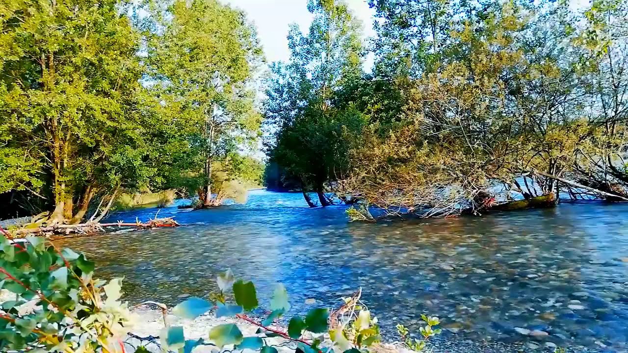 Quiet Calming Forest Stream. Relaxing River Sounds. (10 hours) White ...