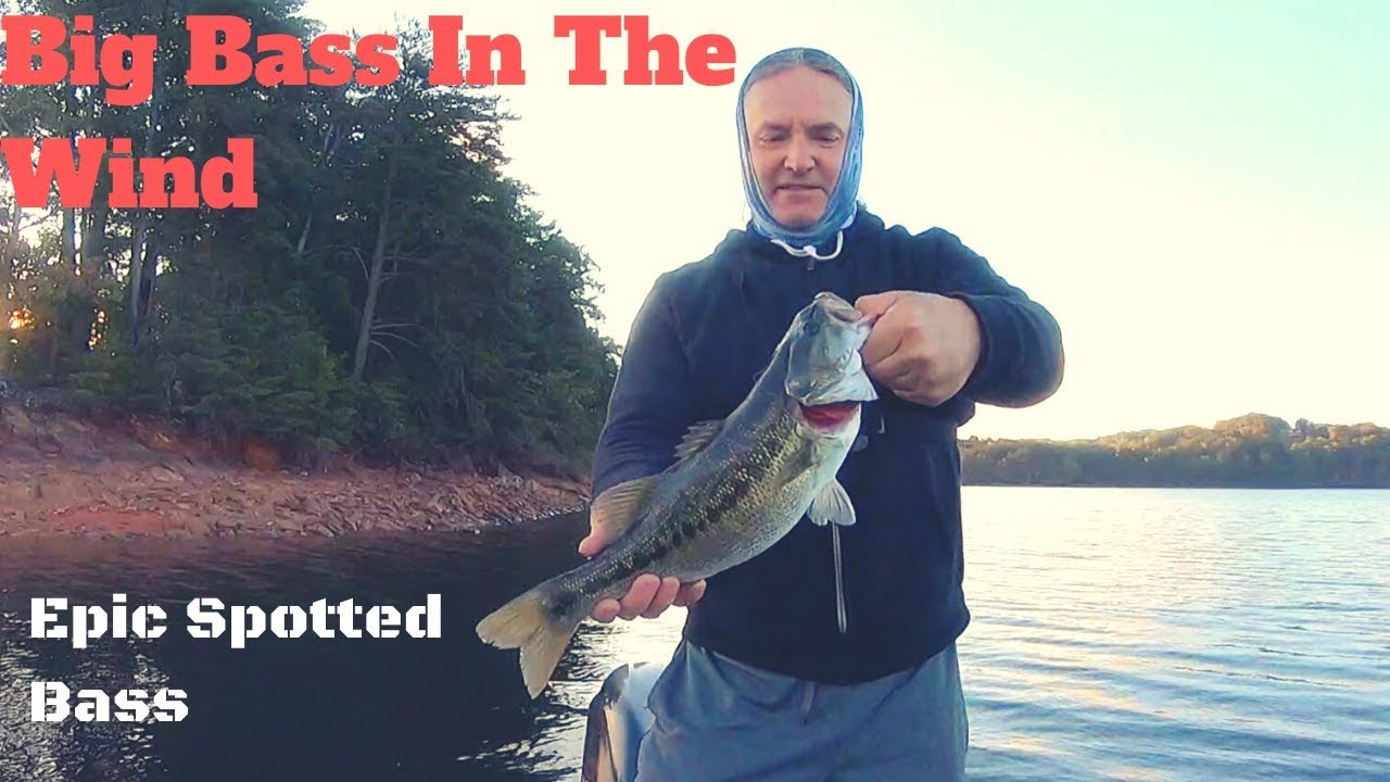 Big Bass in the Wind - YouTube