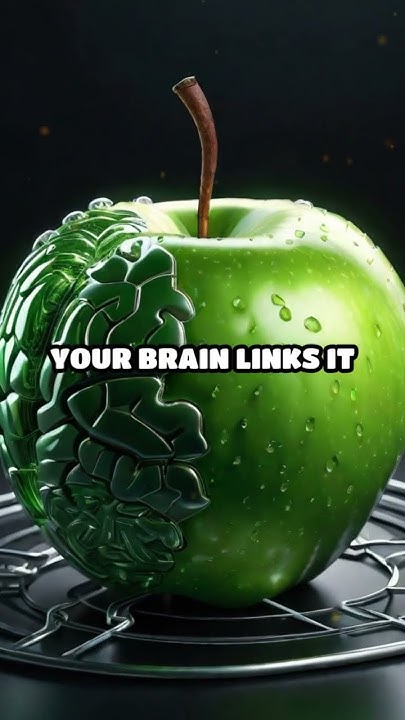 ELI5: How Do We Learn New Words? - YouTube