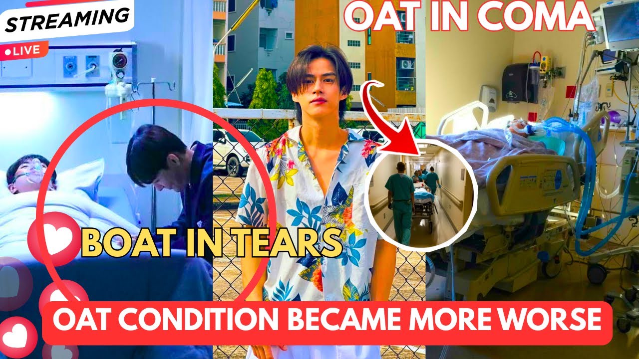 1 MIN AGO: Oat Condition Worsens — Oat in Coma, Boat in Tears 😢🚨 LIVE ...