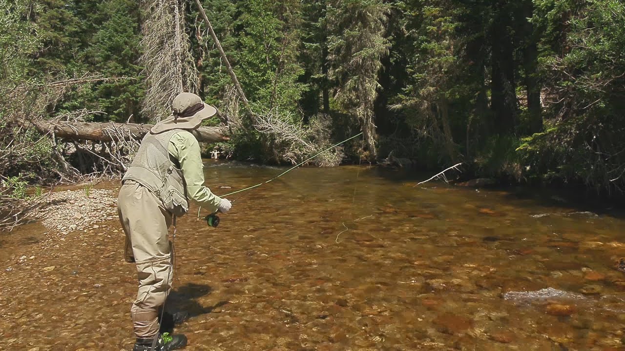 Fishing the Middle St. Vrain Creek in Colorado - YouTube