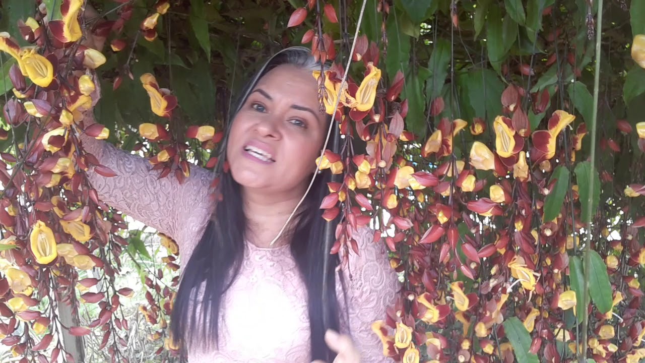 Ivanilde Silva-Deus é Capaz - YouTube