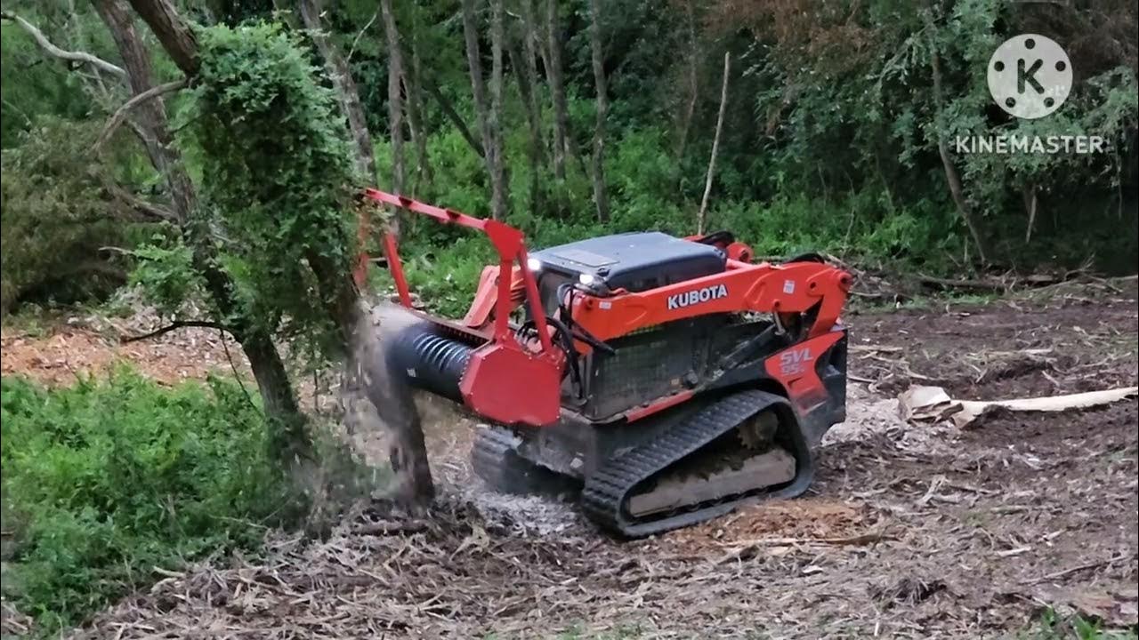 raytree drum mulcher testing on large trees - YouTube