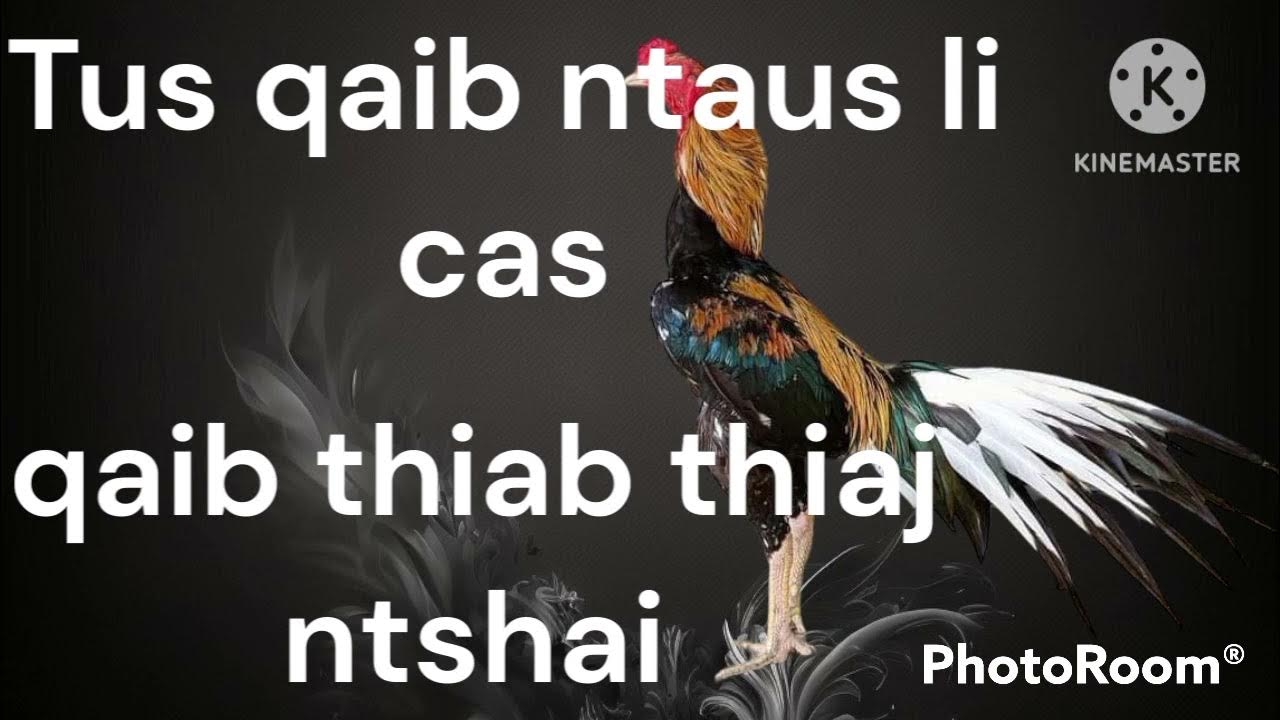 qhia txog ntawm tus qaib ntaus qaib thaib ntshai - YouTube