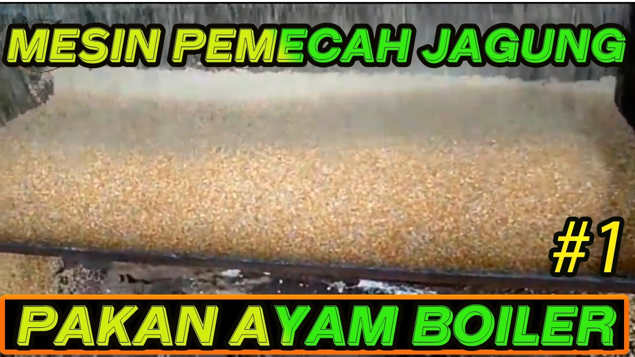 Mesin Pemecah Jagung, Giling Jagung Pakan Ayam Ternak - YouTube