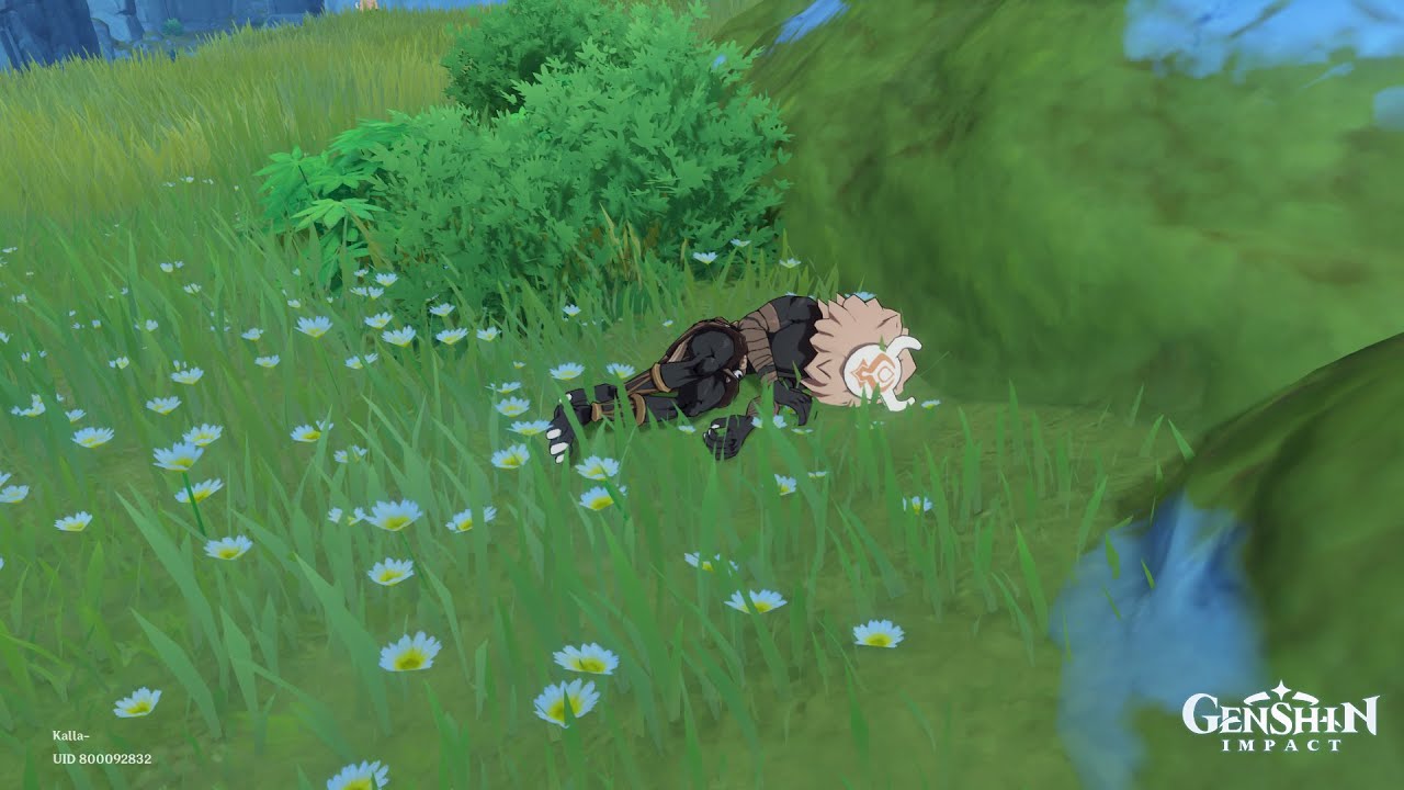 🔴Genshin Impact | Dodo King - YouTube