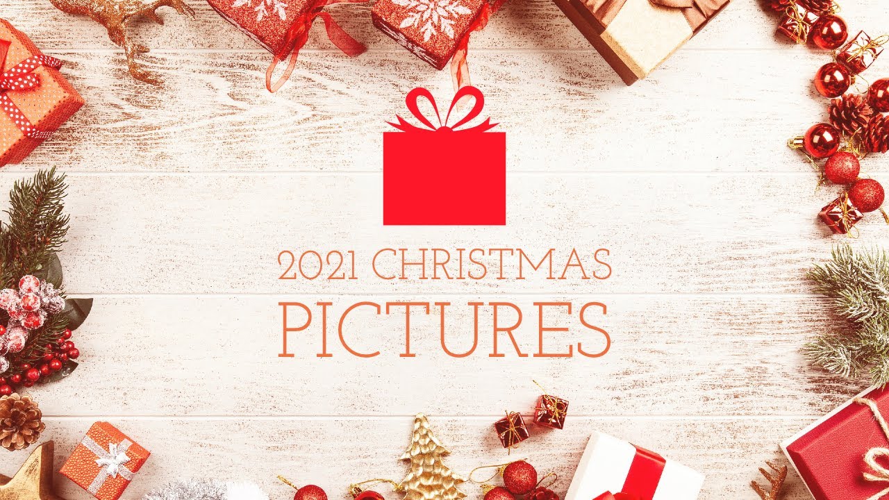 Our 2021 Christmas Pictures......And Some Christmas Updates - YouTube