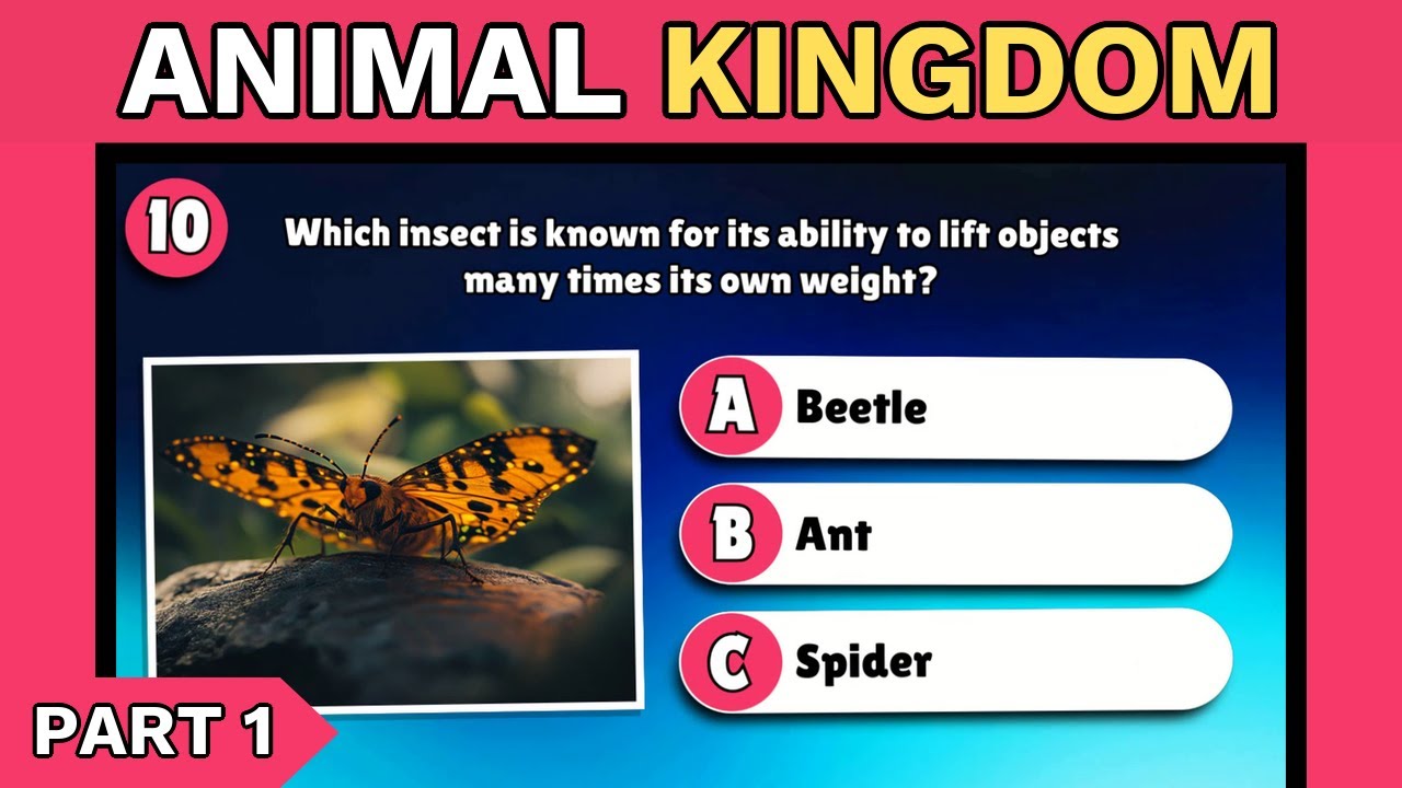Animal Kingdom Quiz - Test Your Wildlife Knowledge Part 1 - YouTube