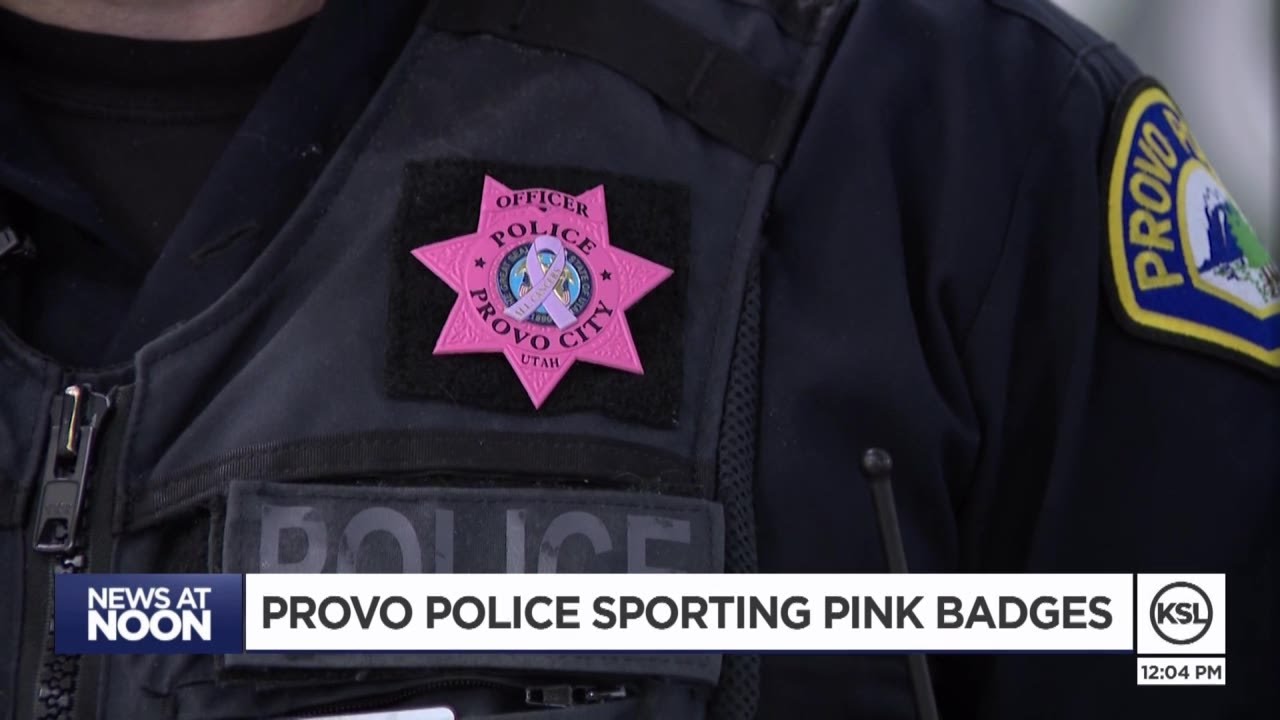 'Wow, you're really young': Provo police officer shares his fight with ...