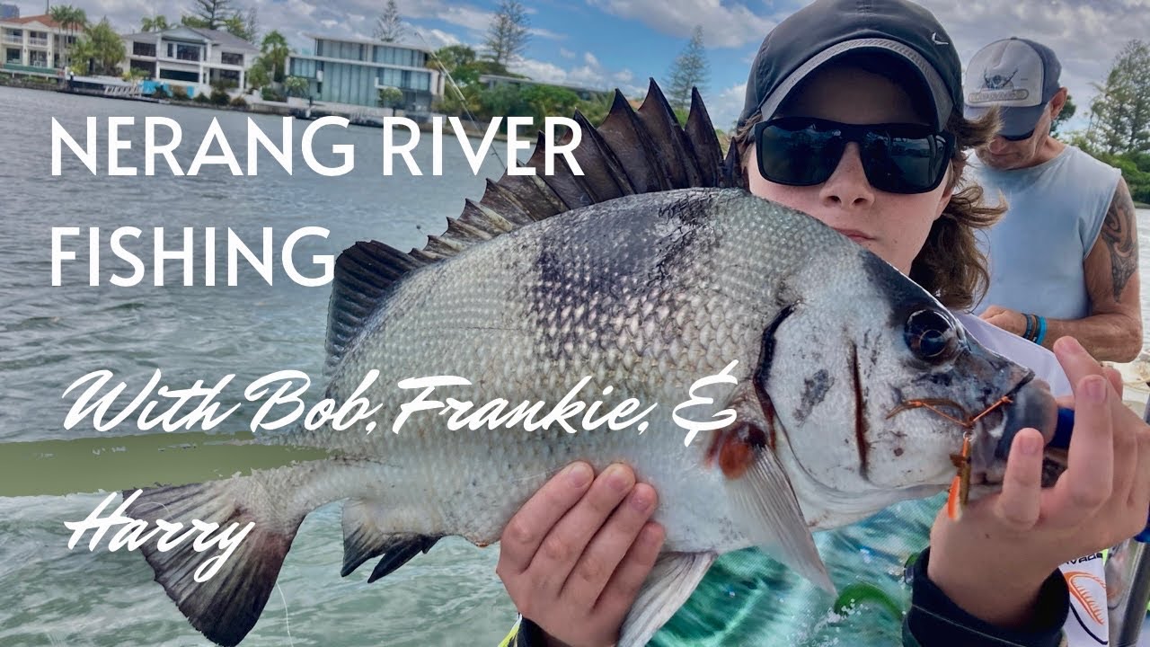 Nerang river fishing with Bob, Frankie, and Harry. A few surprises 🎣 ...