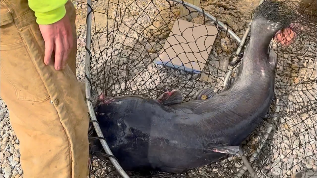 THE BEST CATFISH TOURNAMENT EVER RECORDED!!! (Part 2) Windmill lakes ...