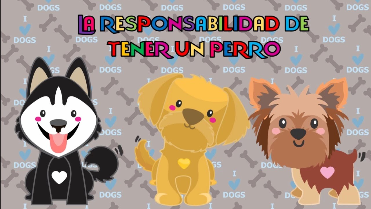 La responsabilidad de tener una mascota 🐶(perro) - YouTube