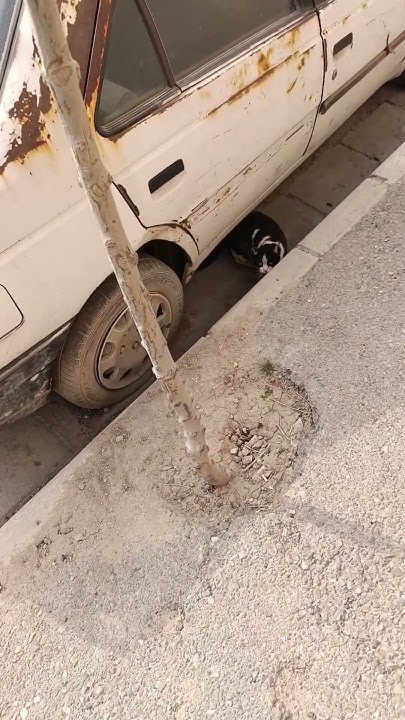 غم اومد ک گریون کنه چشمامو موزیک طبیعت Youtube
