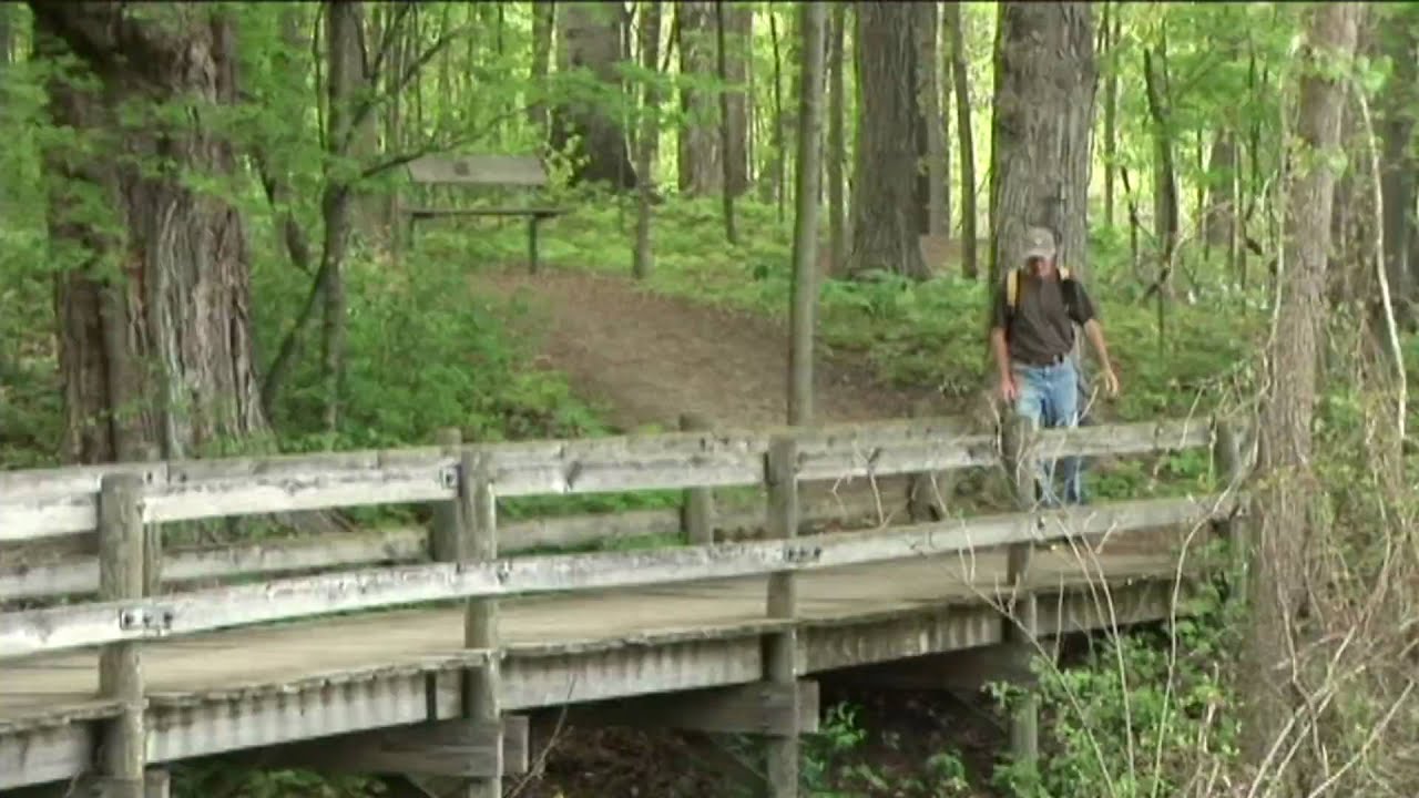 Are Dogs Allowed At Maybury State Park