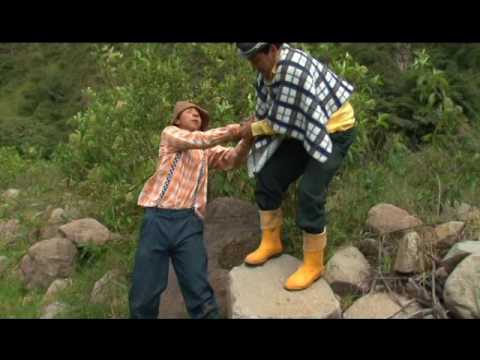 Los chestosos el mal aire