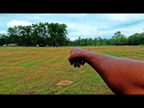 COREY SHOWS HIS 33 ACRES OF LAND