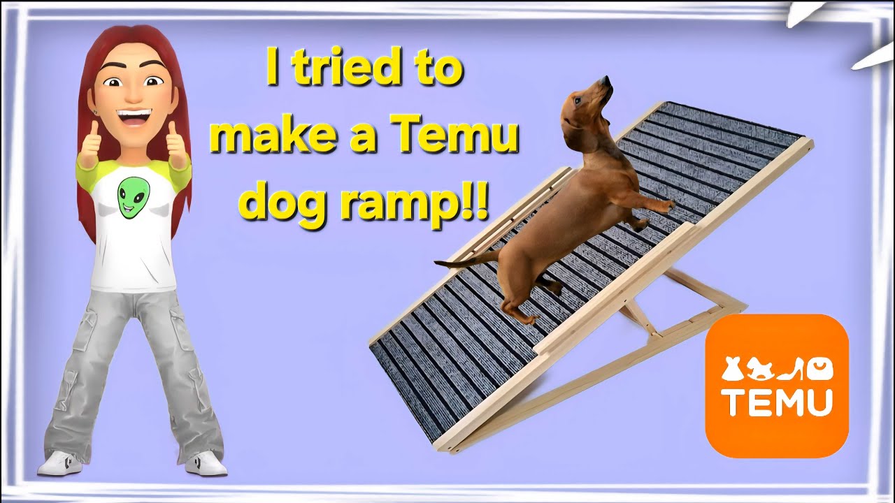 I Tried To Make A TEMU Dog Ramp (Dog Ramp - 2 Ways!) - YouTube