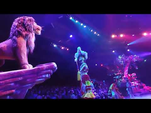 Festival of the Lion King with Linc and Alana(4)
