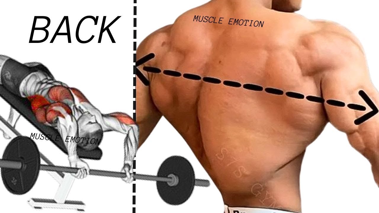 TOP 5 LAT MIDDLE BACK TRAPS WORKOUT WITH BARBELL CABLE AND MACHINE AT ...