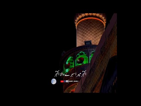 Shadman Raza Noha Akbar Mera Sehriyan Wala Akbar a.s || Shadman raza noha status | SHAH__ZAIB.5 ...