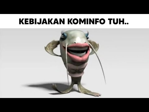 Ikan Meme - Homecare24
