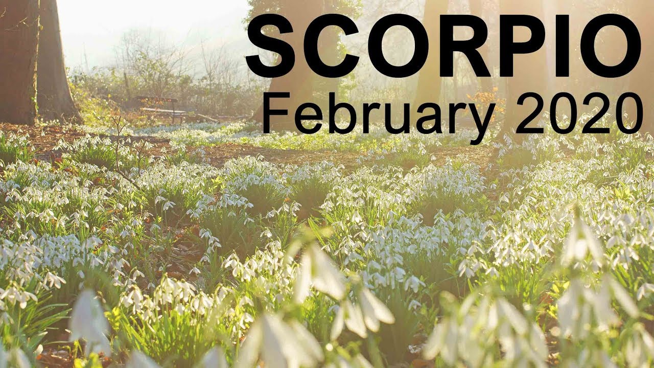 SCORPIO FEBRUARY 2020 TAROT READING "POWERFUL SHIFTS BRING POSITIVE ...