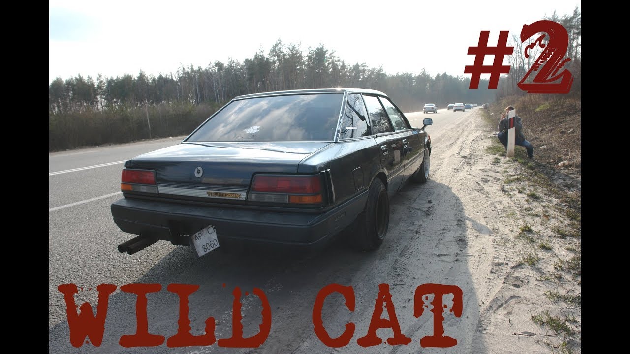 WILD CAT#2.ОТОРВАЛИ ГЛУШИТЕЛЬ. Рихтуем крыло. Ставим ДИСКИ. - YouTube