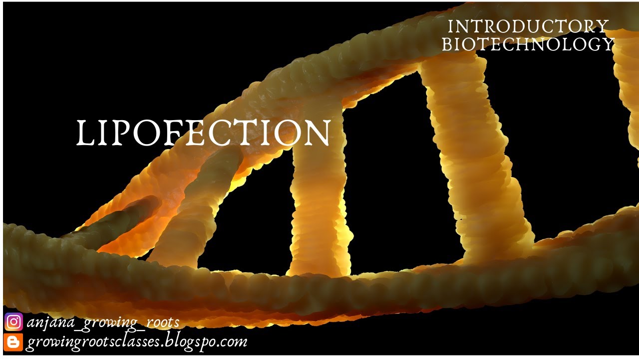 LIPOFECTION Malayalam | Gene transfer By Using Liposomes | Gene ...