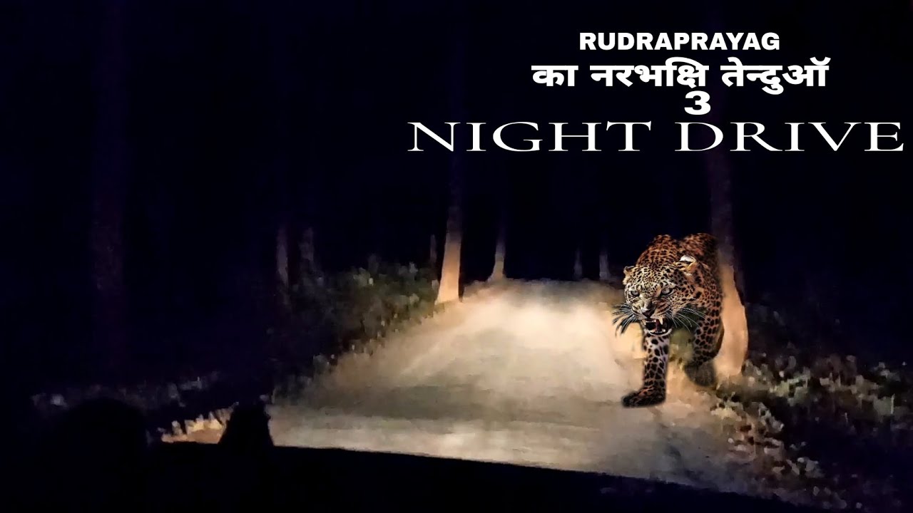 Man Eater Leopard of Rudraprayag Part-3Jim Corbett story#jungledrive ...