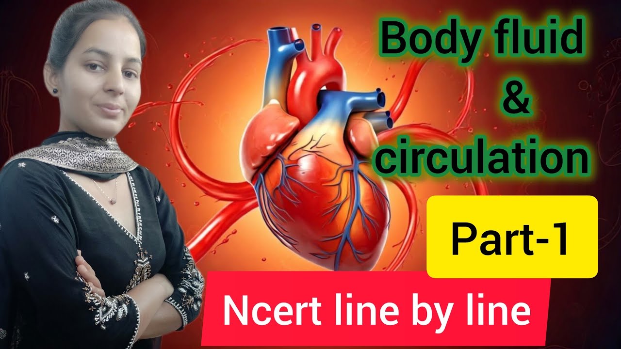 Body fluid and circulation|NCERT LINE BY LINE| Class-11 - YouTube
