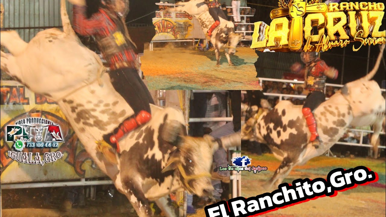 💥UN SR.TORAZO EL CALIBRE 50🔥los Toros Benditos De Rancho La Cruz En El ...
