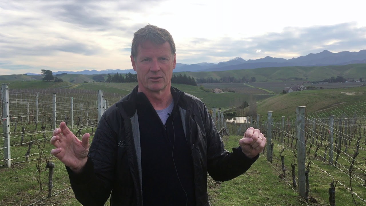 Marlborough Pinot Noir & the clay hills of the Southern Valleys: Clive ...