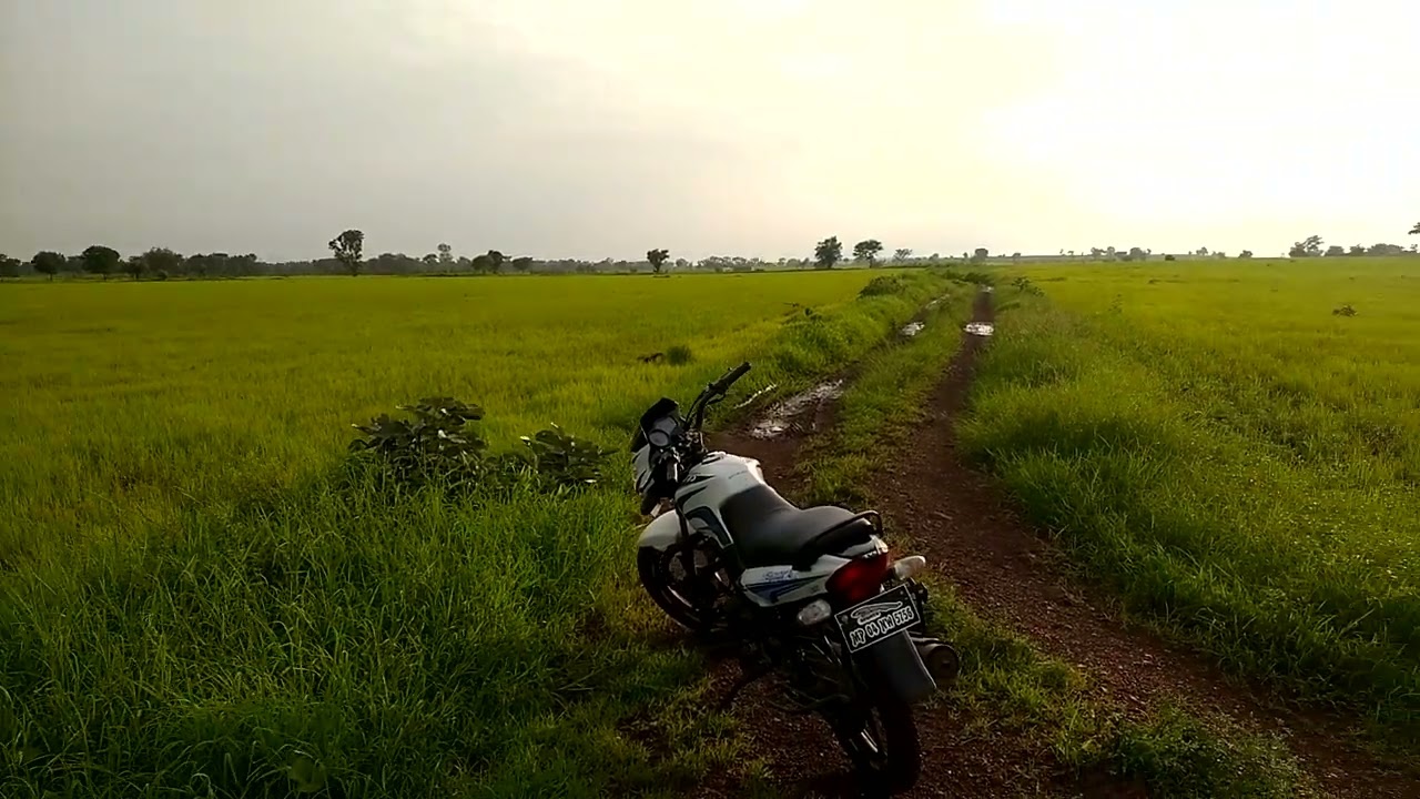 Evening View 🌄 #nature #naturephotography - YouTube