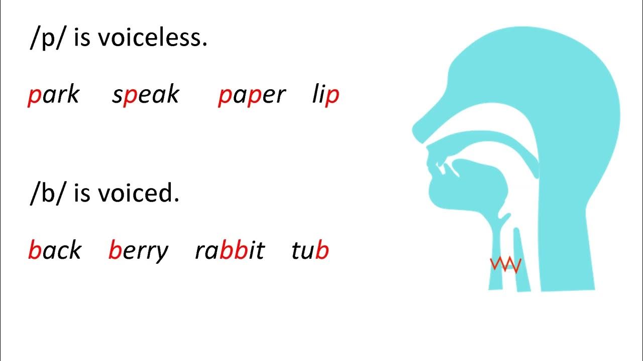 Mastering Popping Consonant Sounds of American English: Pronunciation ...