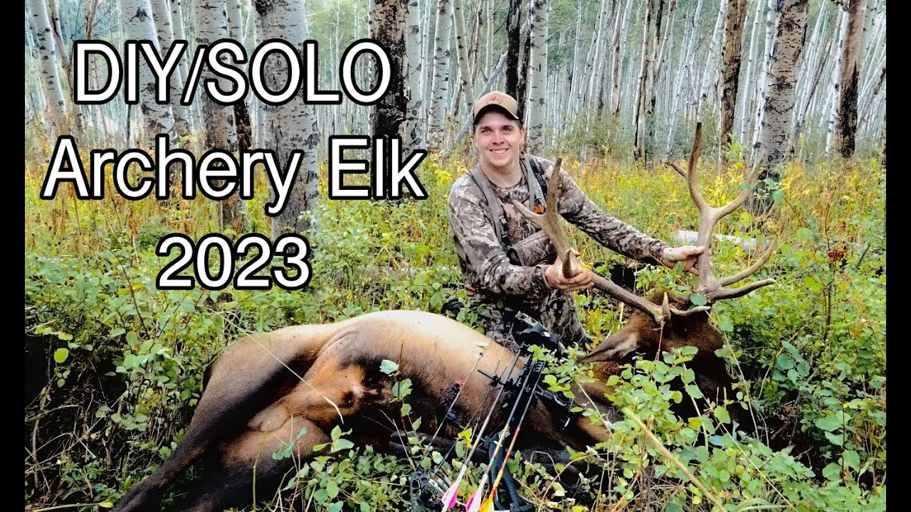 Pt.2 Solo Colorado Archery Elk 2023 (MY FIRST ELK) (SOLO) - YouTube