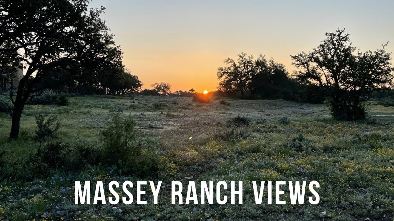 June 2023 Massey Ranch Views and Walkabouts - YouTube
