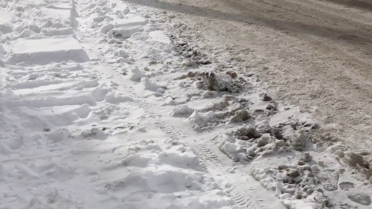 Sivas Kış kar Sivas winter snow 4k 9.2.2020 İPhone 7 Plus - YouTube