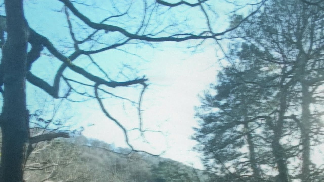 Jacob Cook - An Opening World - YouTube