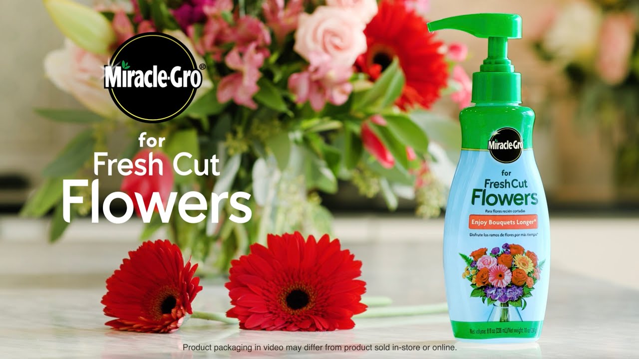 How To Use Miracle-Gro® For Fresh Cut Flowers - YouTube
