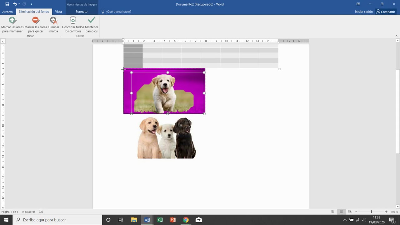 Tutorial de Word para principiantes II - YouTube
