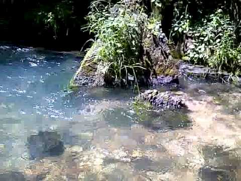 Greer Spring....Missouri - YouTube