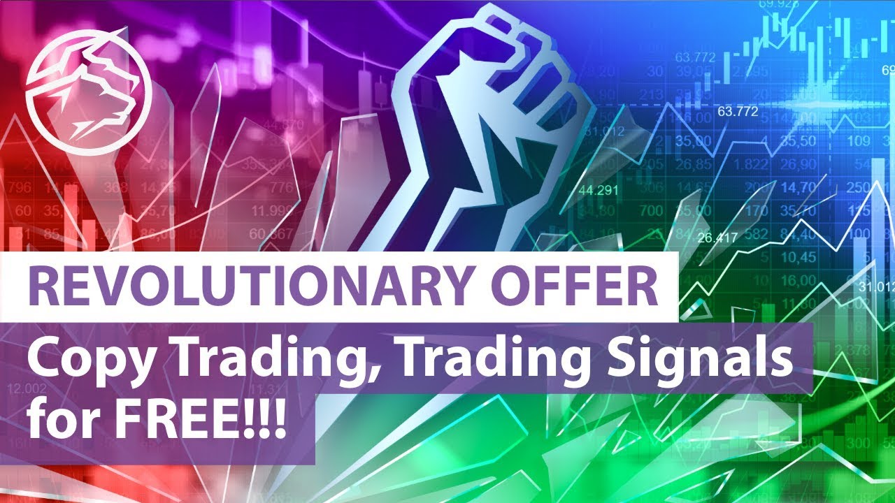 Free Trading Signals and Copy Trading from Tradunity - YouTube
