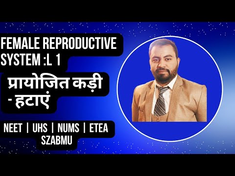 L 1: Female Reproductive System | External Genitalia Area | Internal ...