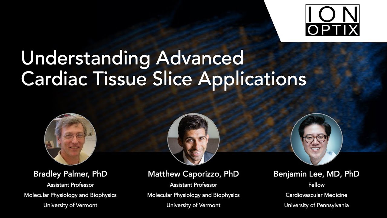 Understanding Advanced Cardiac Tissue Slice Applications - YouTube