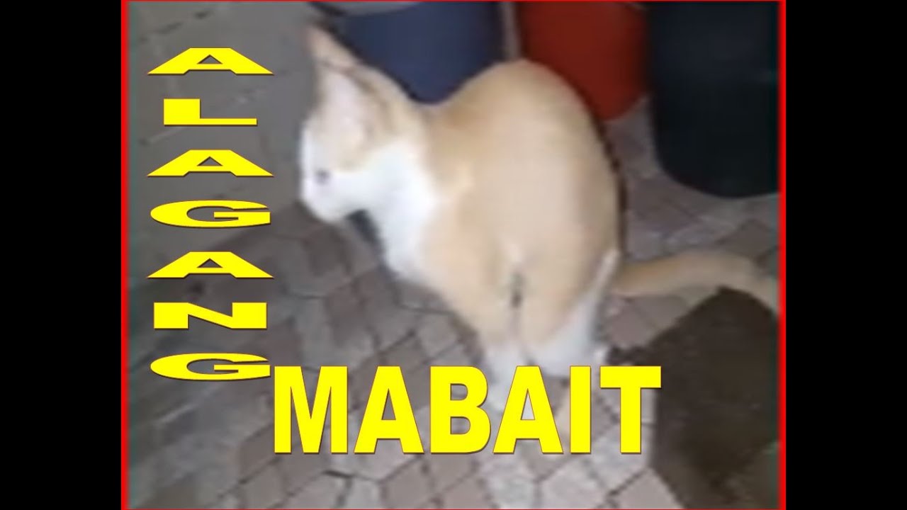 Alagang mabait - YouTube
